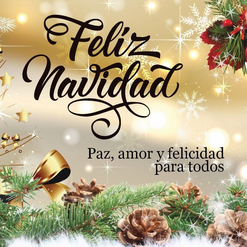 NAVIDAD🎄🧑‍🎄 – Joesma Store